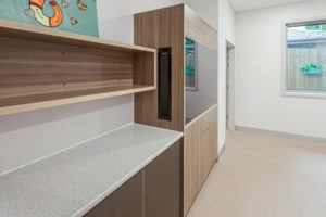 Robust Housing Design for Specialist Disability Accommodation